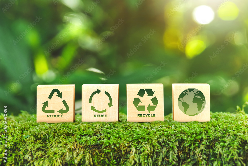 Sustainable development concept ,Sustainable development goal (SDGs ...