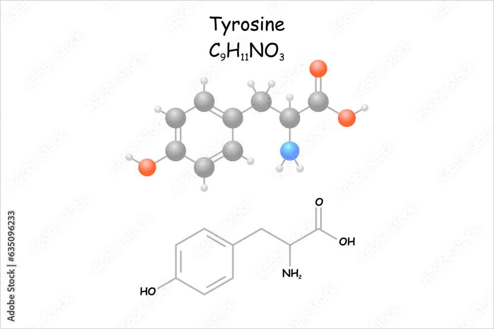 Stylized molecule model/structural formula of the amino acid tyrosine ...