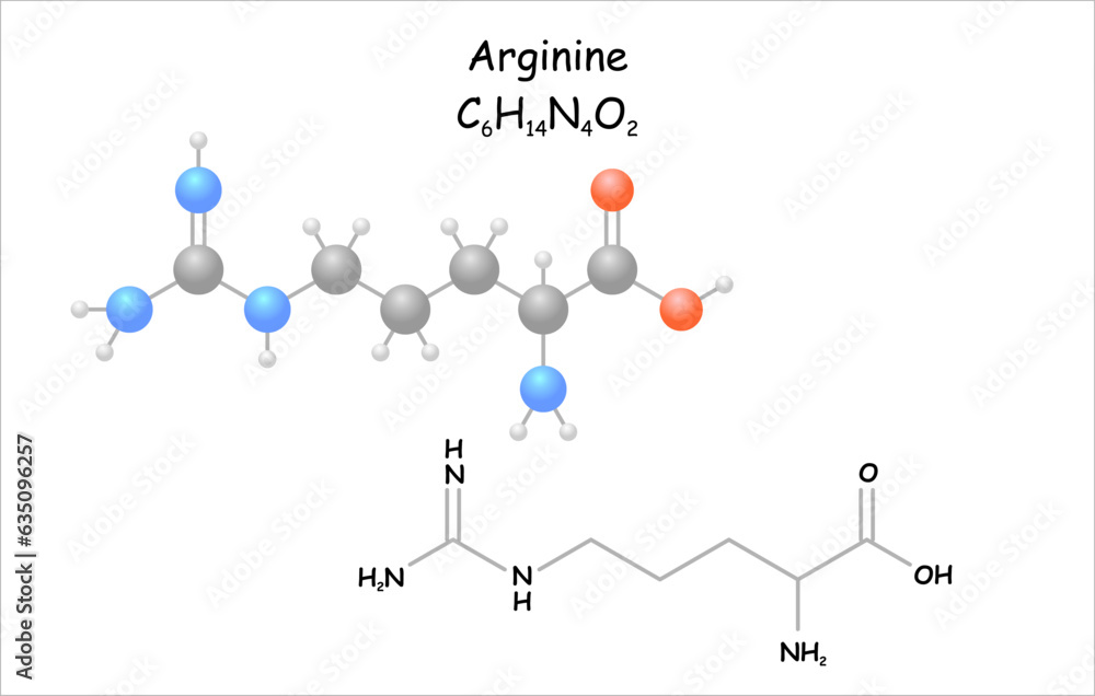 Stylized molecule model/structural formula of arginine. Stock Vector ...