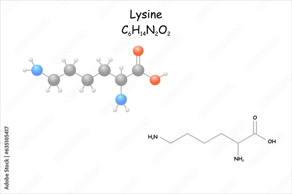 Stylized molecule model/structural formula of lysine Stock Vector ...
