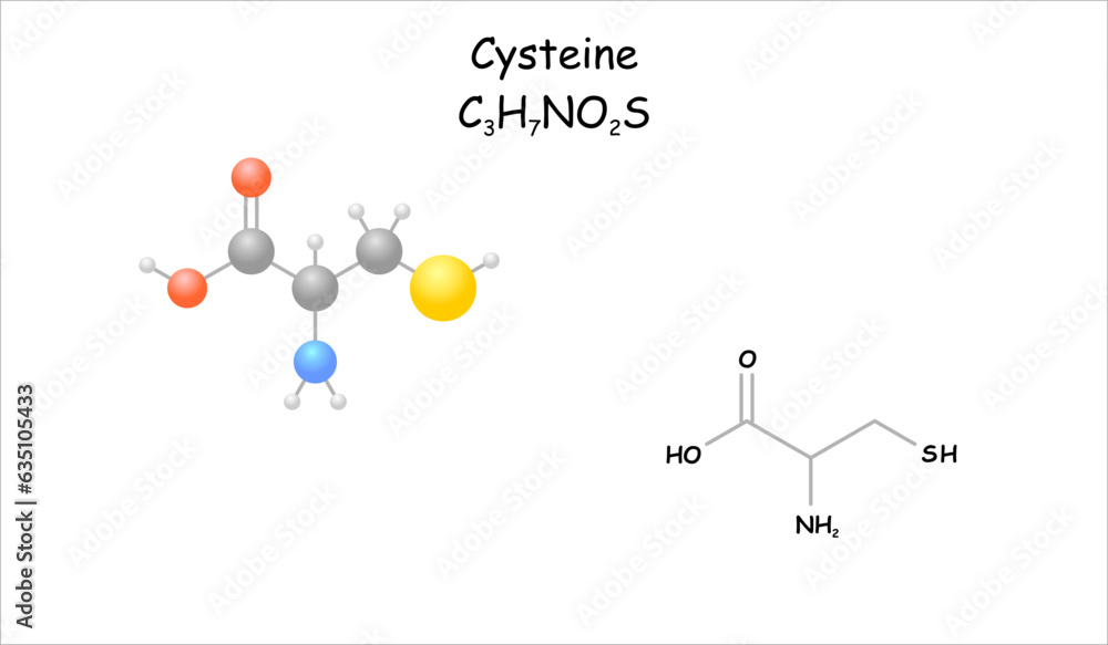 Stylized molecule model/structural formula of cysteine. Stock Vector ...
