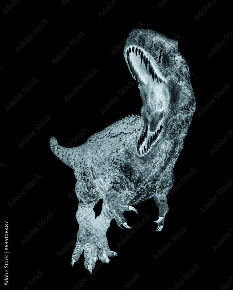 giganotosaurus is running on white background front view Stock ...
