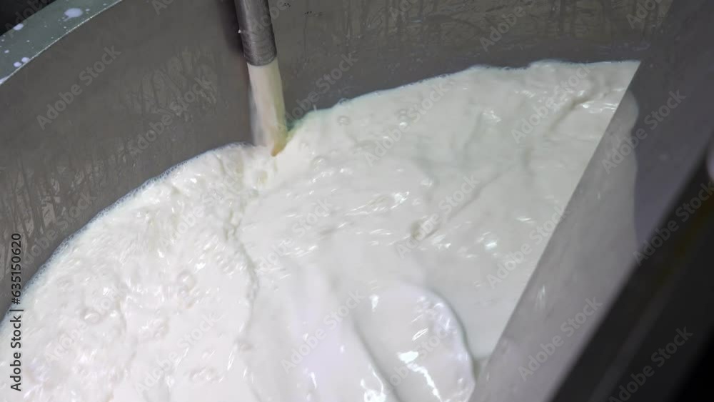 Milk Pasteurization And Safe Milk Production. Raw Milk Pouring into ...
