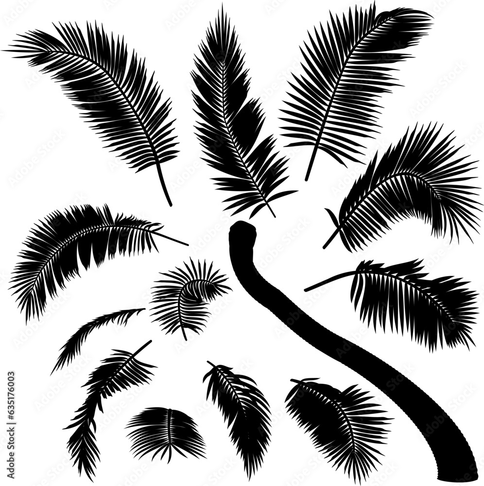 Shape Of Bent Coconut Palm Tree Elements Vector Illustration Of shape-of-bent-coconut-palm-tree-elements-vector-illustration-of