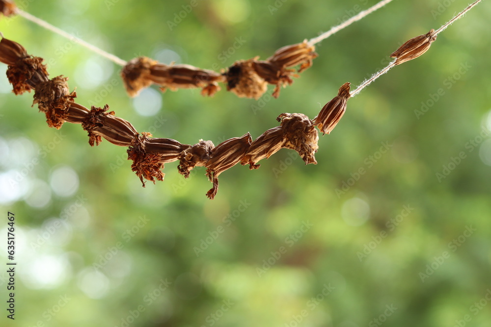 Dried garland of Marigold Genda Flower in a Bokeh green background ...