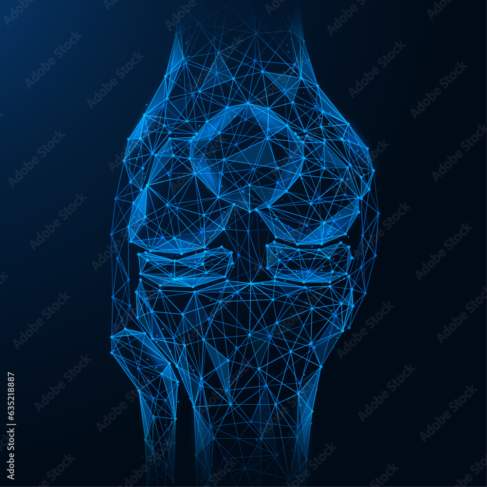 Front part of the knee joint. Low-poly design of interconnected lines ...
