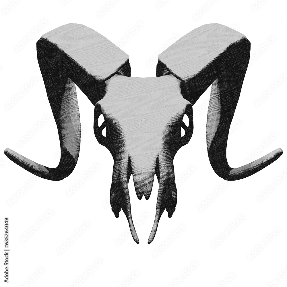 Rams skull. Wild animals head skeleton. Detailed anatomy drawing of ...