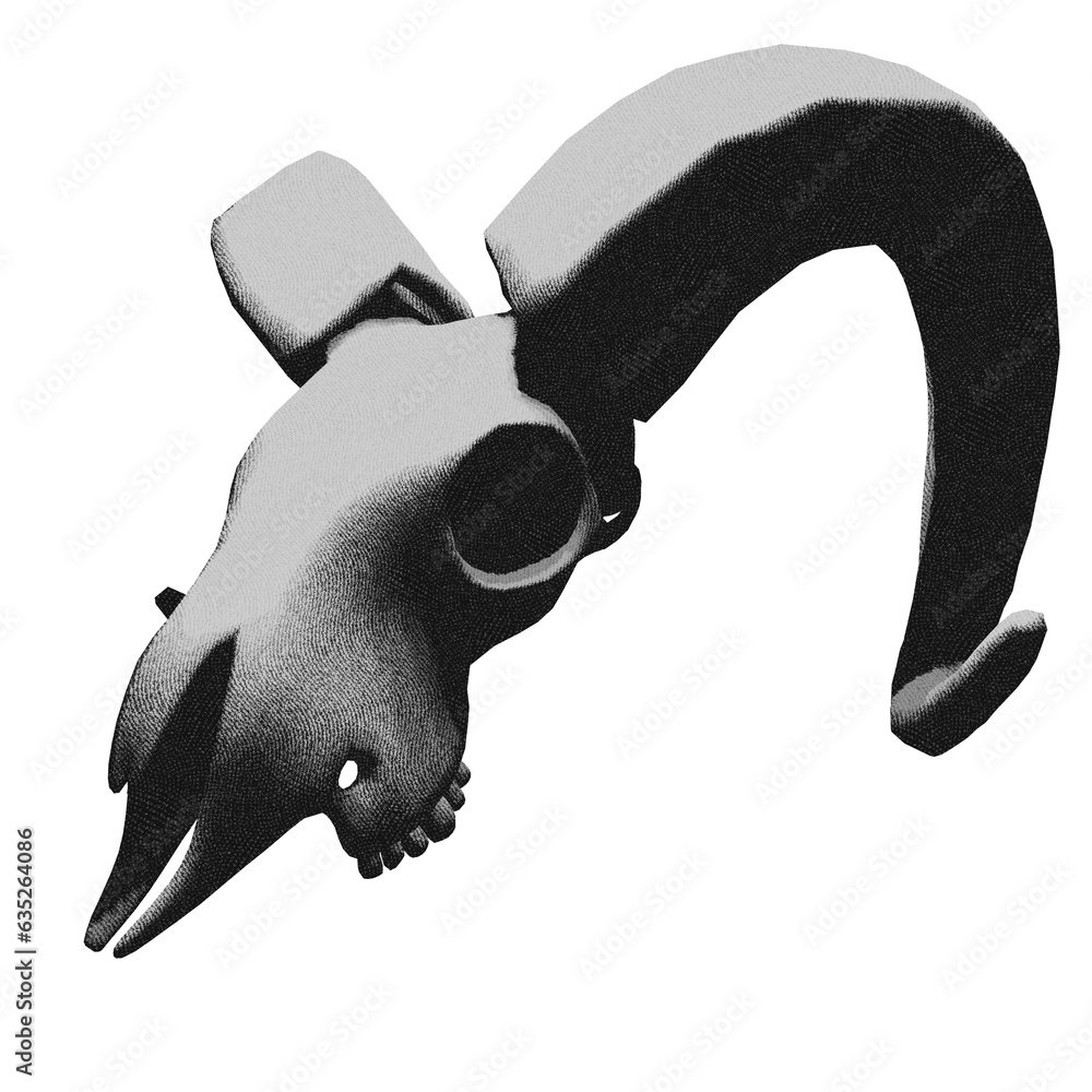 Rams skull. Wild animals head skeleton. Detailed anatomy drawing of ...