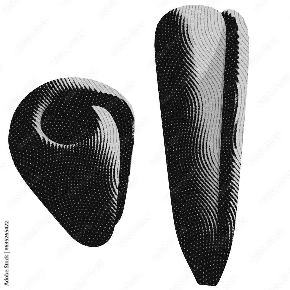 Sea shells. Art detailed illustration. Vintage engraving. Isolated on ...