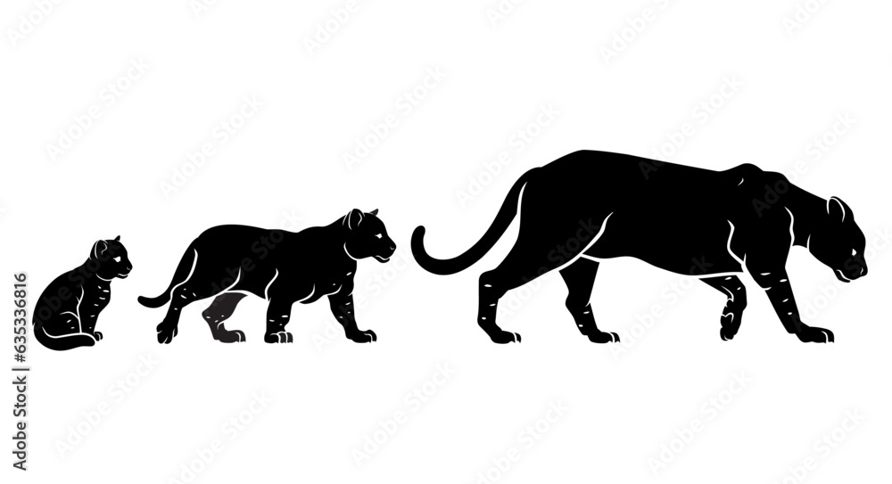 Black Panther Growth Stages Silhouette Stock Vector | Adobe Stock