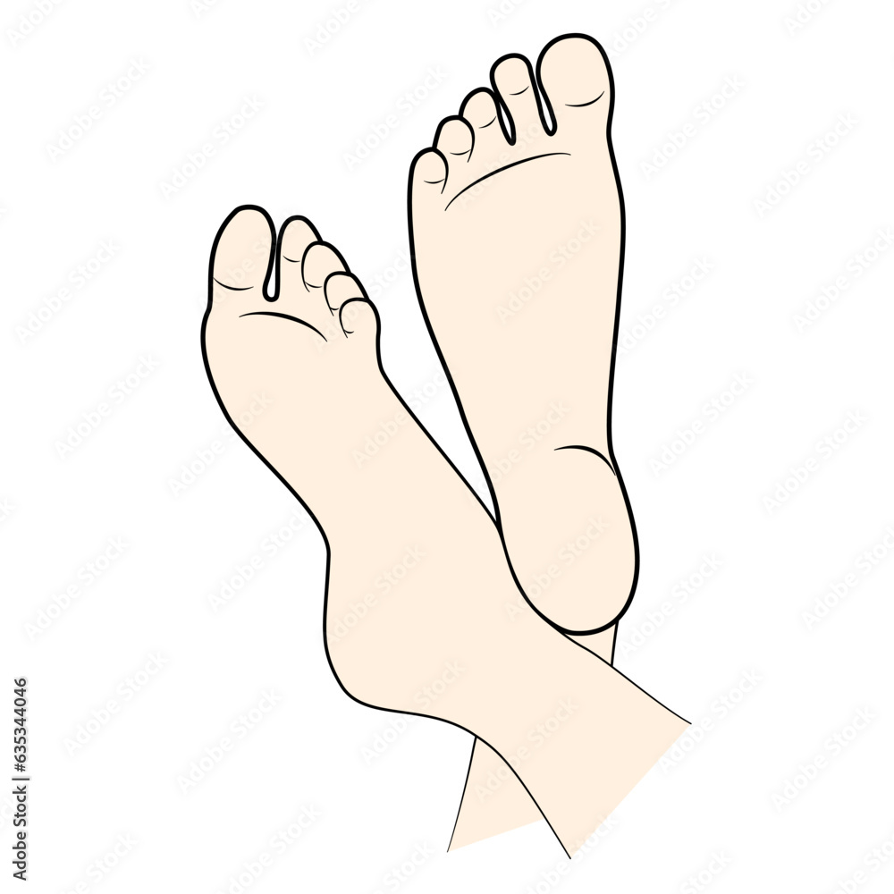 Line drawing of the left and right foot soles. Bottom of feet. Vector ...