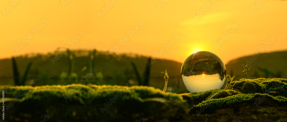 World environment day concept.Globe Glass . circular economy renewable ...