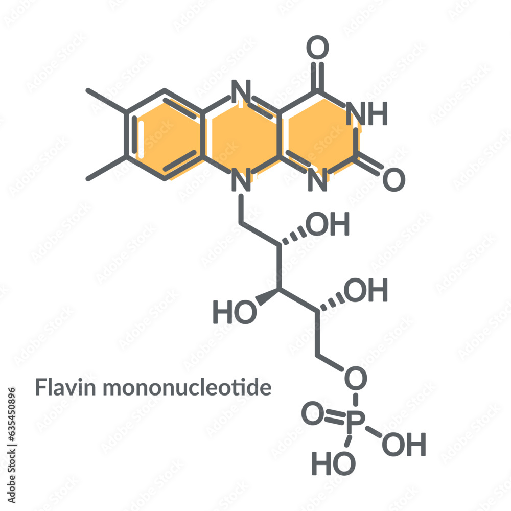 Chemical formula of flavin mononucleotide. Skeletal formula. Stock Vector | Adobe Stock
