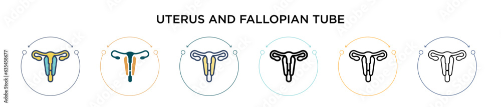 Uterus and fallopian tube icon in filled, thin line, outline and stroke ...