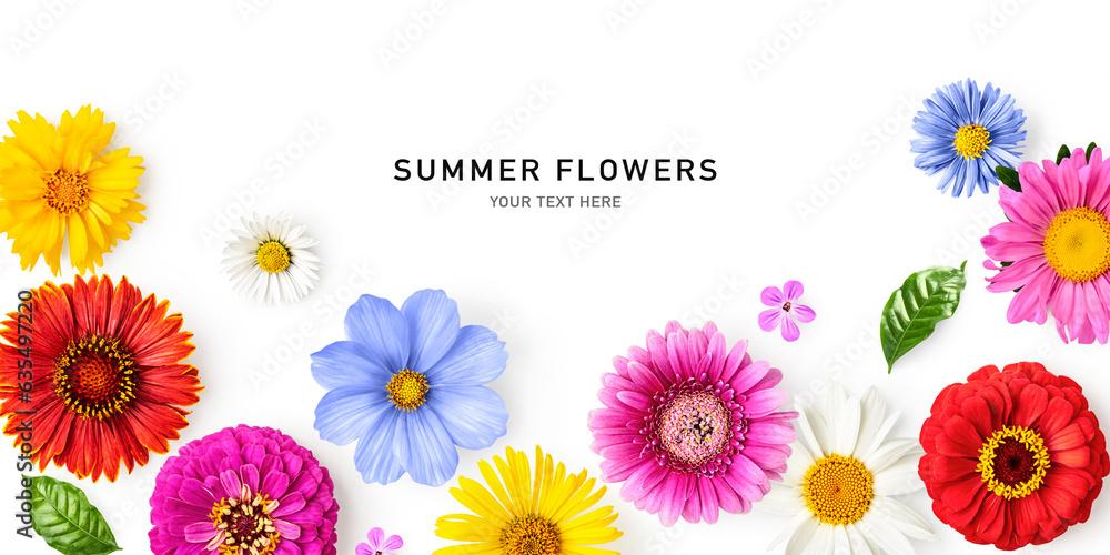Beautiful colorful summer flowers frame border isolated on white ...