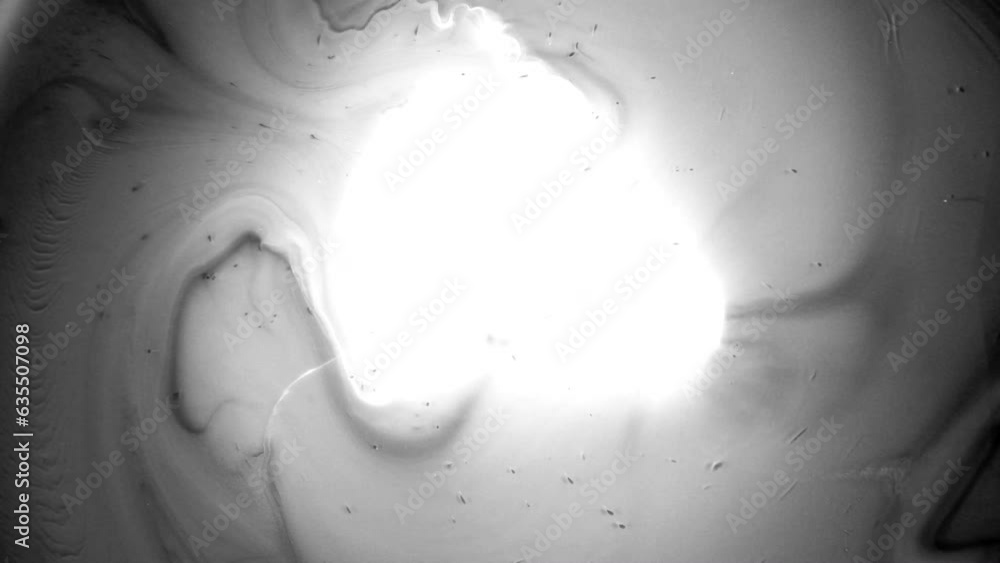 ink transition on white screen, drop texture, ink transition splatter ...