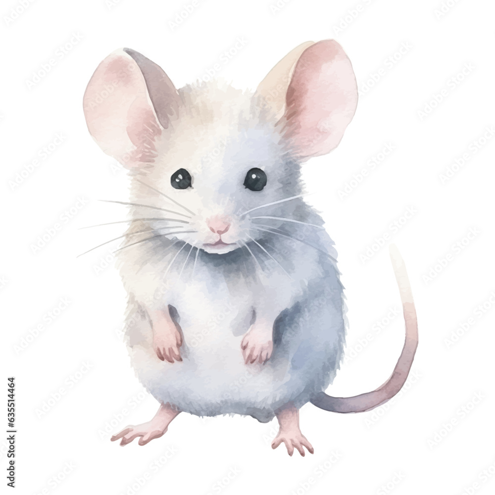 Watercolor mouse. Vector illustration with hand drawn mouse, rodent ...