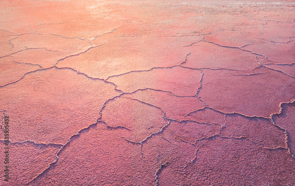 A close-up of a cracked pink salt lake at sunset creating abstract ...