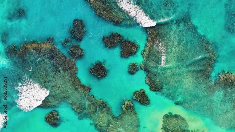 Coral reefs off the coast of the Dominican Republic, clear Atlantic ...