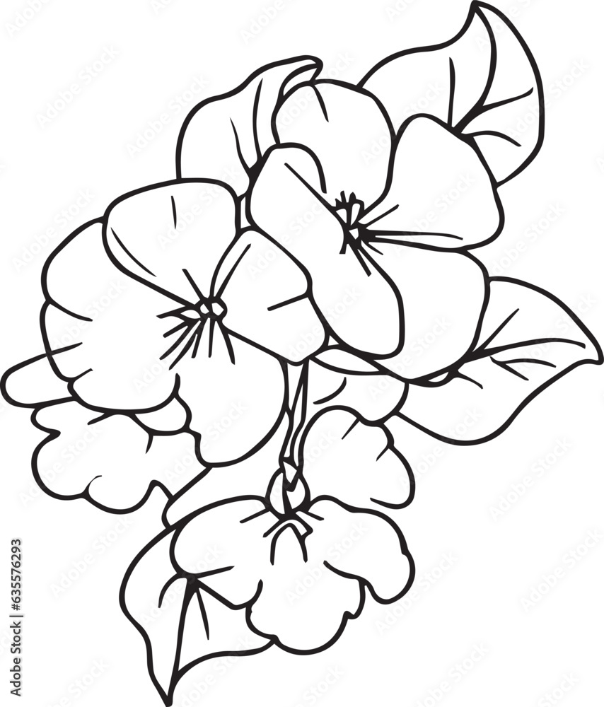 primrose coloring pages flower children, primrose line drawings Stock ...