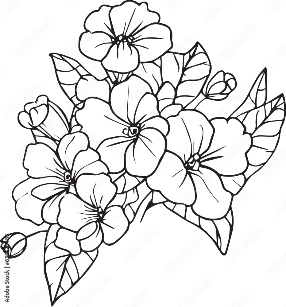 primrose coloring pages flower children, primrose line drawings Stock ...