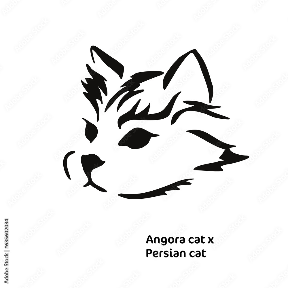 Vector drawing of a stylized cat with long hair. Mix of Angora cat with ...