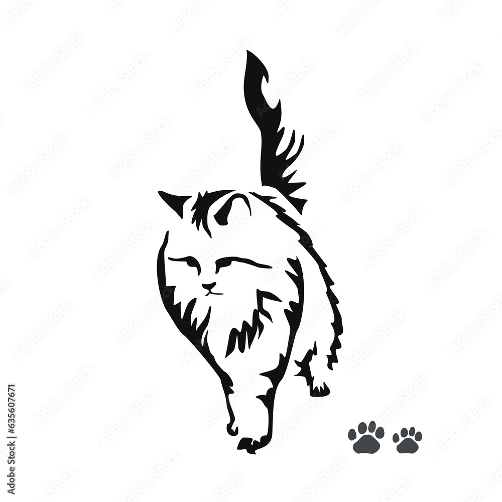 Vector drawing of a long-haired cat. Leisurely walking angora cat ...