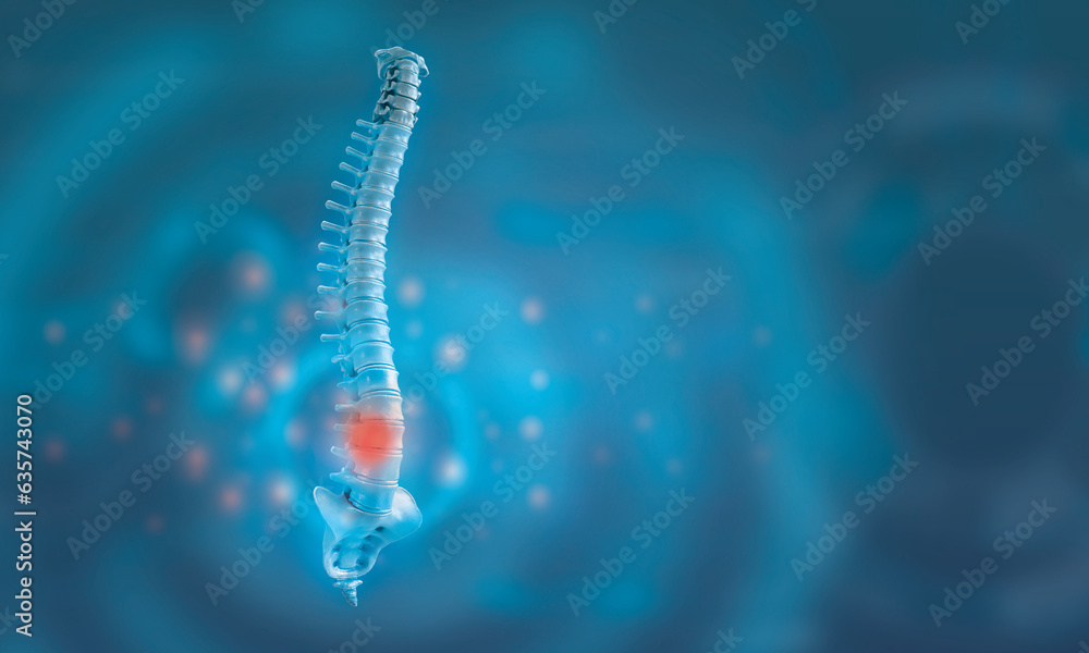 human spine body part person people blue element copy space background ...