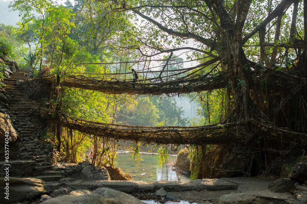 Meghalaya's iconic double-decker bridge, a masterpiece of nature's ...