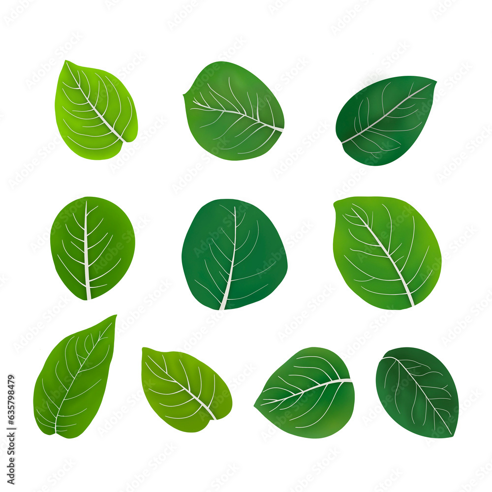 illustration of Biology and plant kingdom, Set of Leaf margins, the structure or appearance of ...