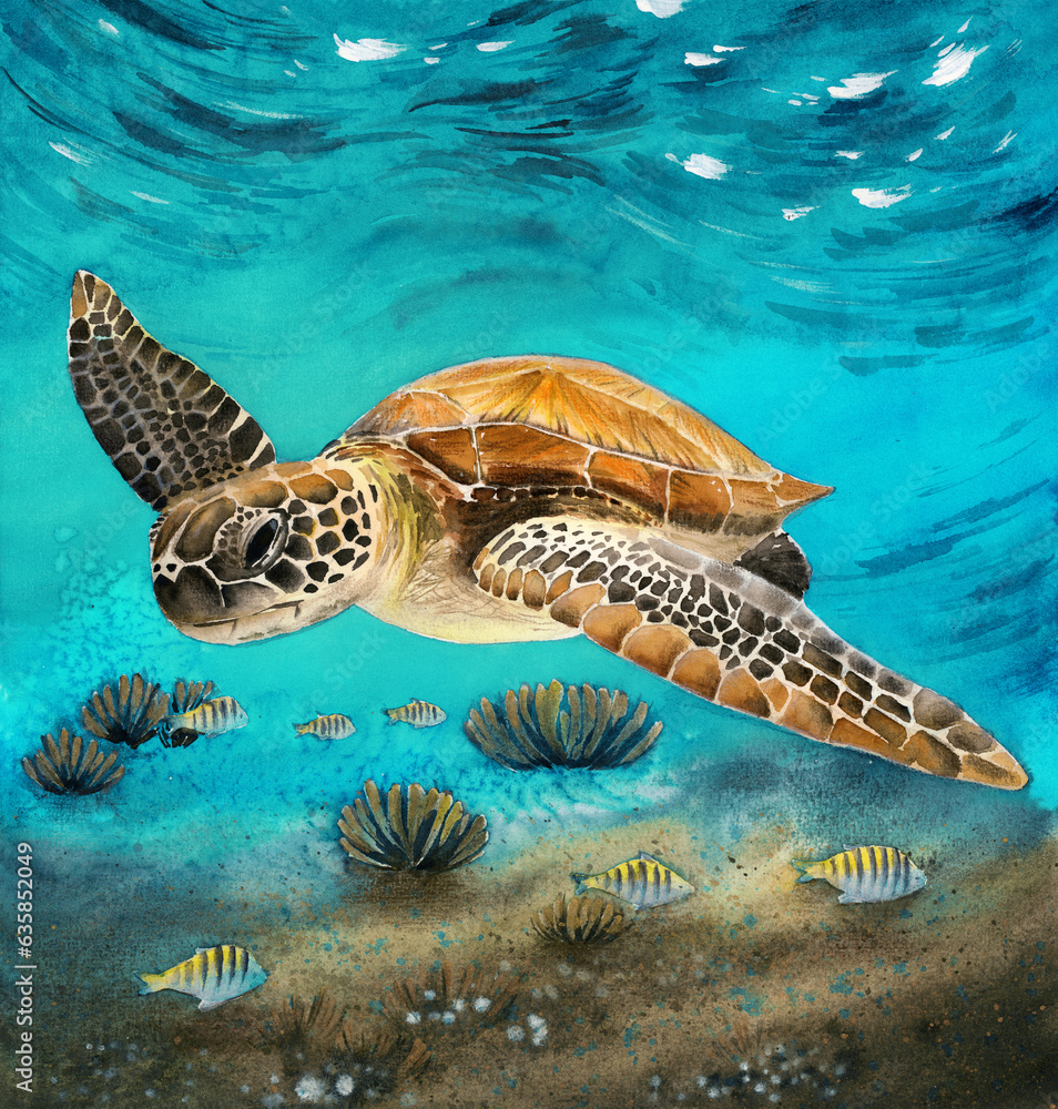 Watercolor illustration of a sea turtle swimming in the blue sea water ...