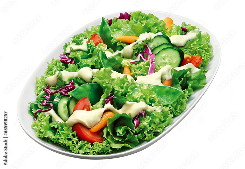 prato com salada de alface, rúcula, vaguem, cenoura, tomate, pepino ...