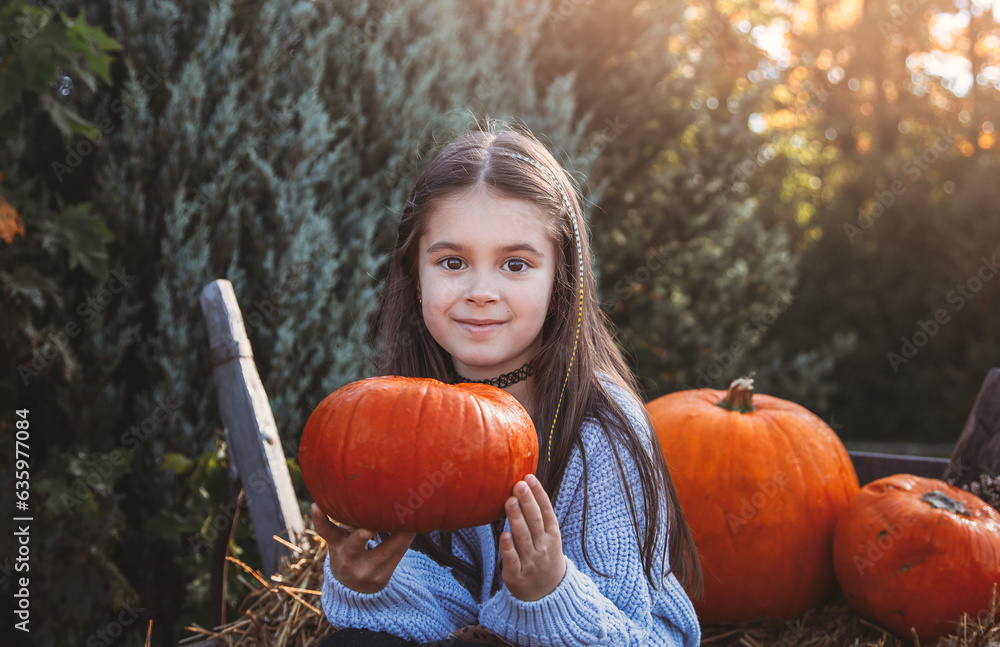 Autumn harvest of pumpkins. Child and orange pumpkin at farm market or ...