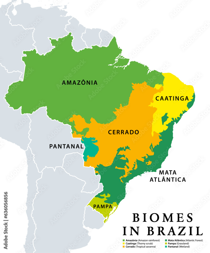 Naklejka Biomes in Brazil, map of 6 ecosystems with natural vegetation ...