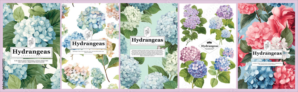 Set of Elegant Hydrangeas, Realistic Vector Illustrations of Flowers ...