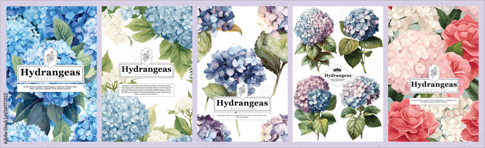 Set of Elegant Hydrangeas, Realistic Vector Illustrations of Flowers ...
