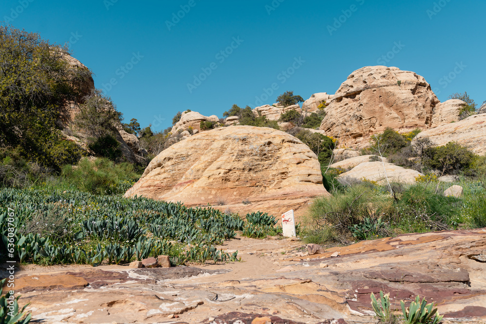Dana Biosphere Reserve, natural park spring landscape in Jordan Stock ...
