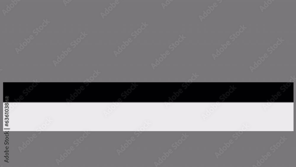 Black and white stripes opening and closing animation lower third title ...