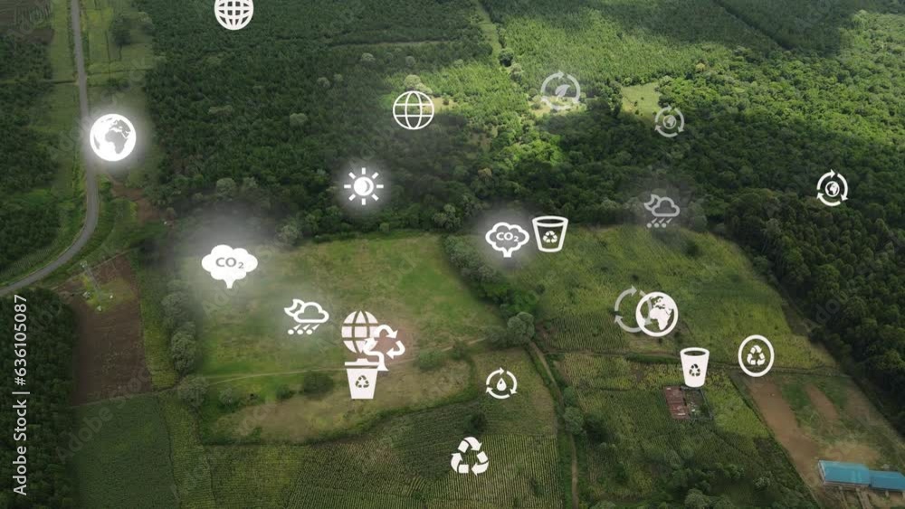 Drone view- Africa Forest- Kenya and Tanzania-Bush fire on slopes of ...