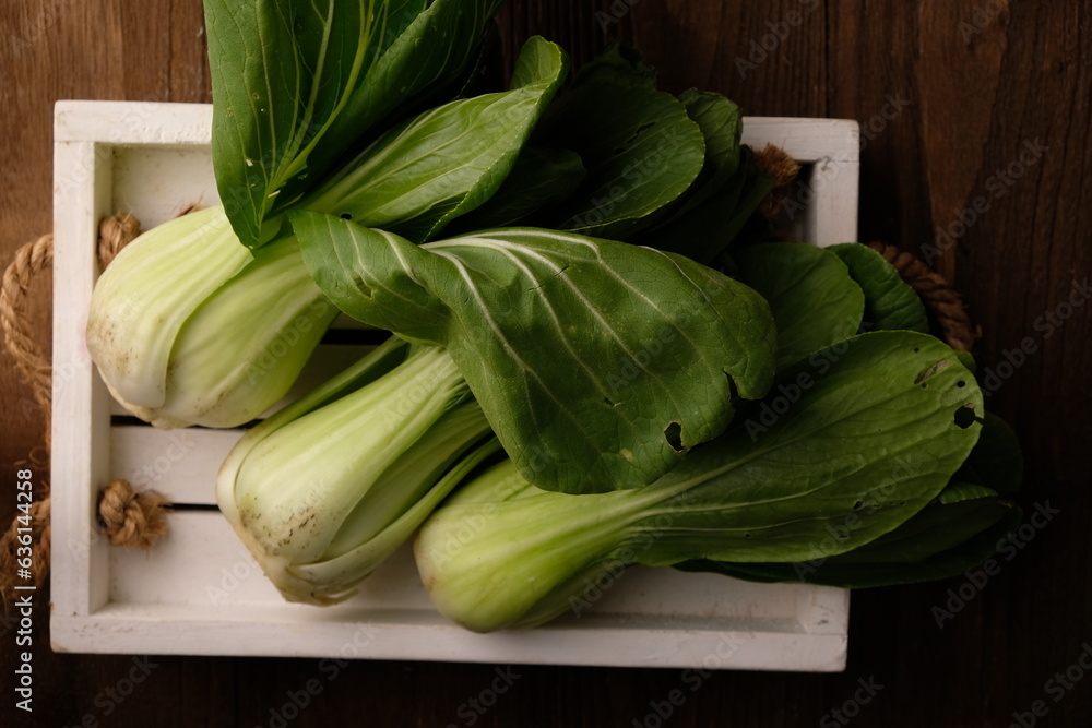 Pakcoy or bok choy, also known as mustard spoon, is easy to cultivate ...