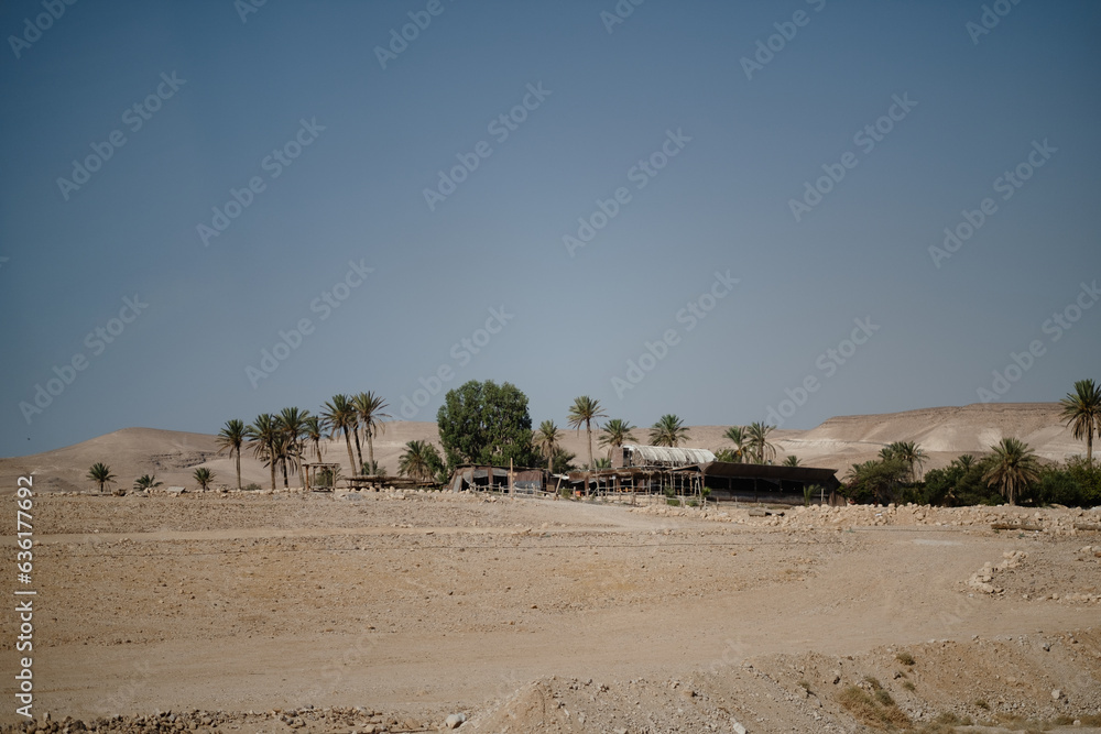 An oasis in the remote wilderness of the barren Negev Desert in ...