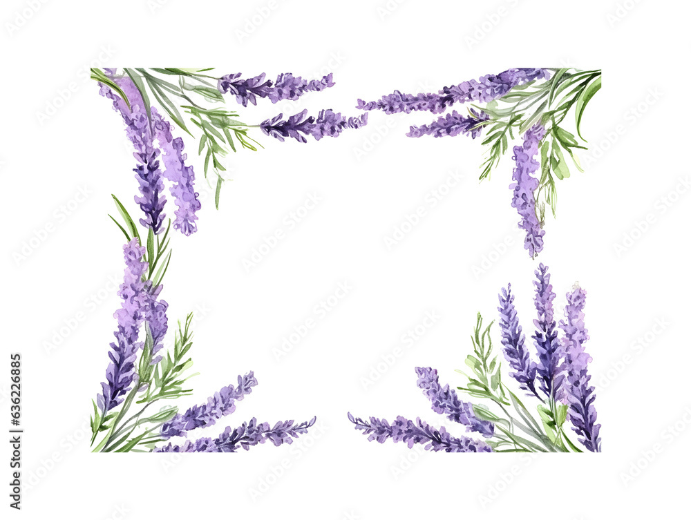 Frame of tender watercolor lavender flowers border on transparent ...