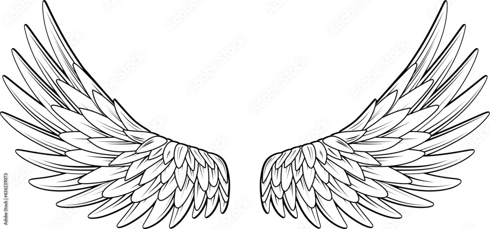 white eagle wings with black outline - on transparent background Stock ...