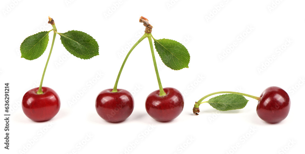 Collection of cherries with green leaf isolated on white background ...