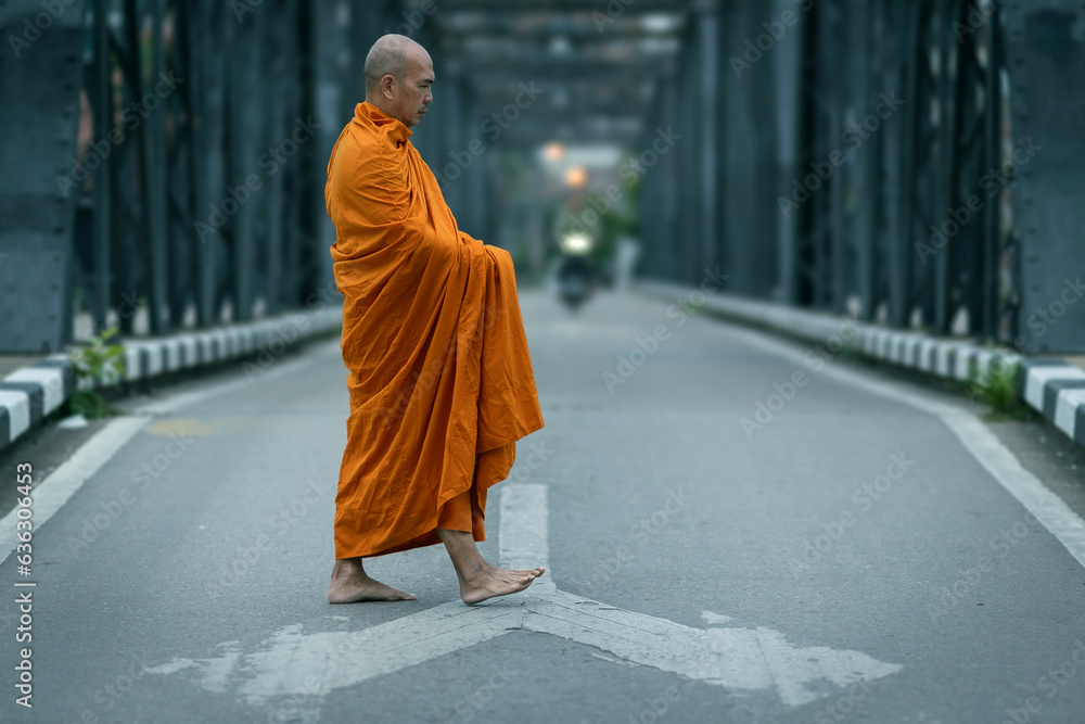 Buddhist monks are morning walking on routes between rural villages on ...