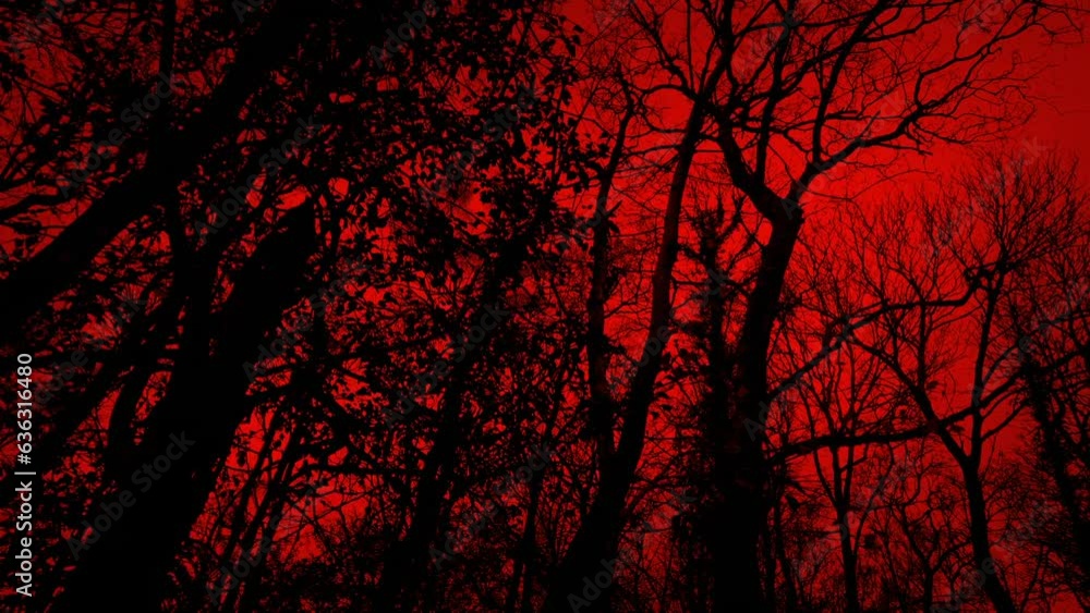 Walking Under Trees In Scary Red Forest Stock ビデオ | Adobe Stock