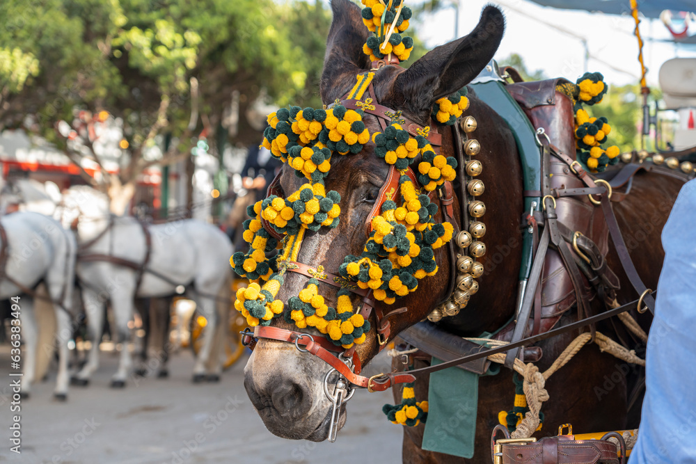 Witness Spain's rich cultural mosaic at the Malaga Fair. Horses, riders ...