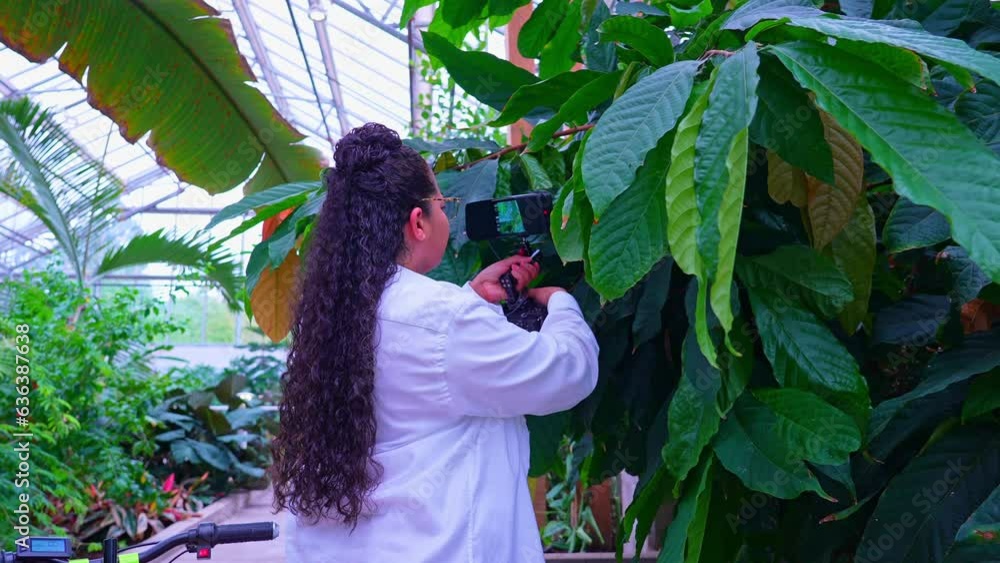 Woman photographer in the exotic jungle greenhouse. Semi professional ...