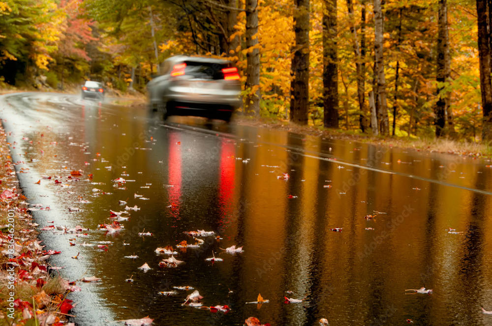 Wet asphalt road after the rain among the colorful autumn forest and a ...