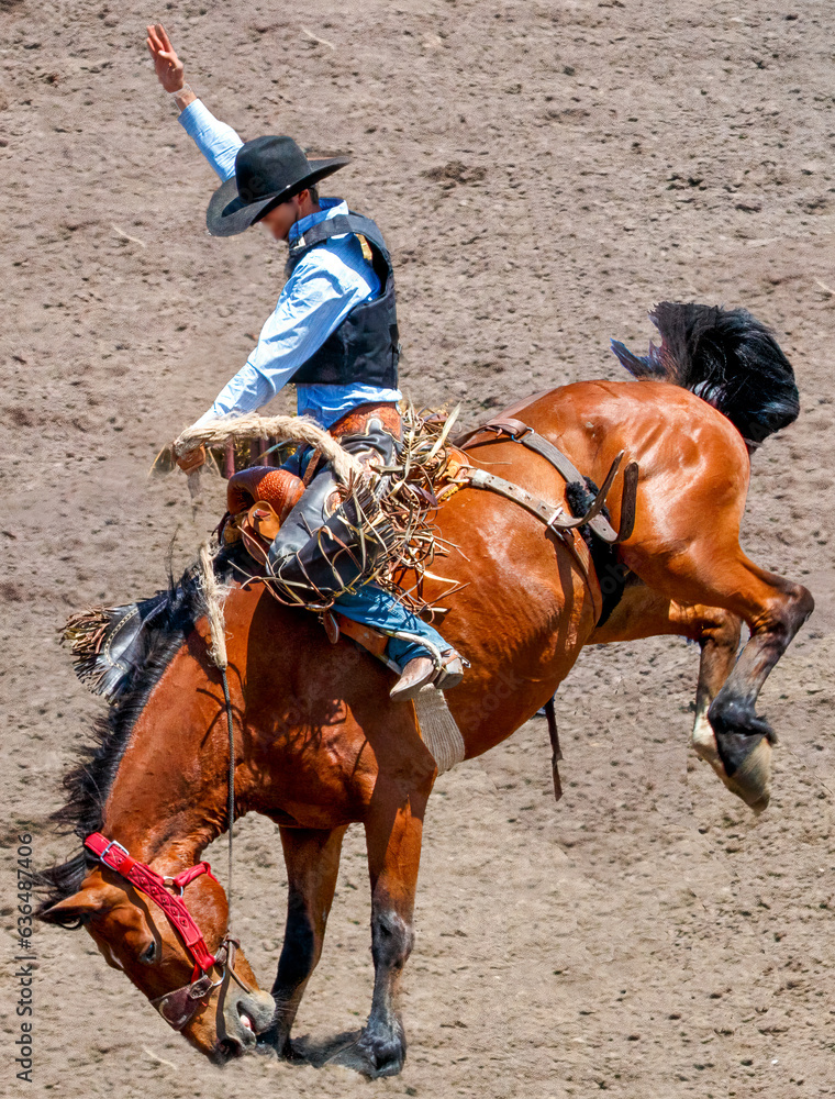 A rodeo cowboy is riding a bucking bronco. He is in an arena with dirt ...